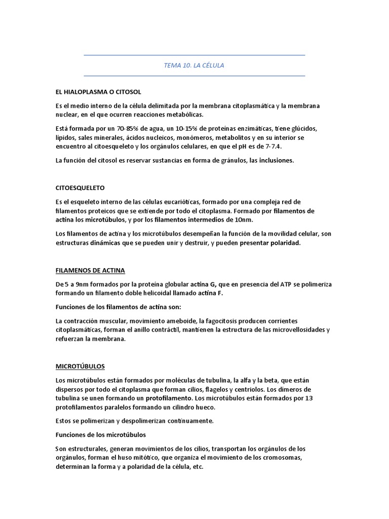 Las Células Pdf Retículo Endoplásmico Microtúbulos