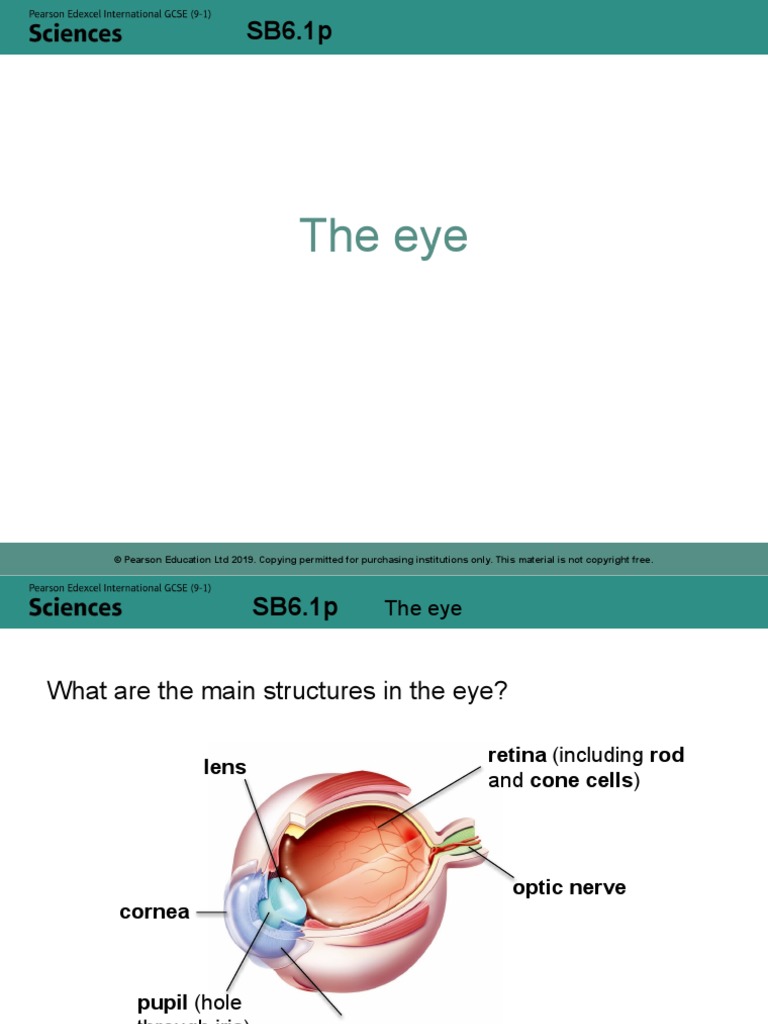 SB6.1p The Eye | PDF