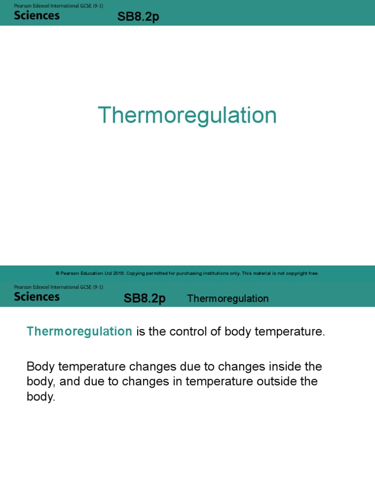 SB8.2p Thermoregulation | PDF | Thermoregulation | Skin