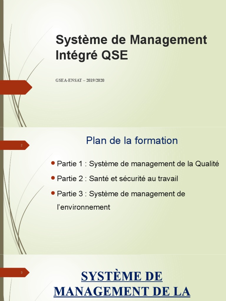 Système de Management Intégré QSE | PDF | Risque | Management de la qualité