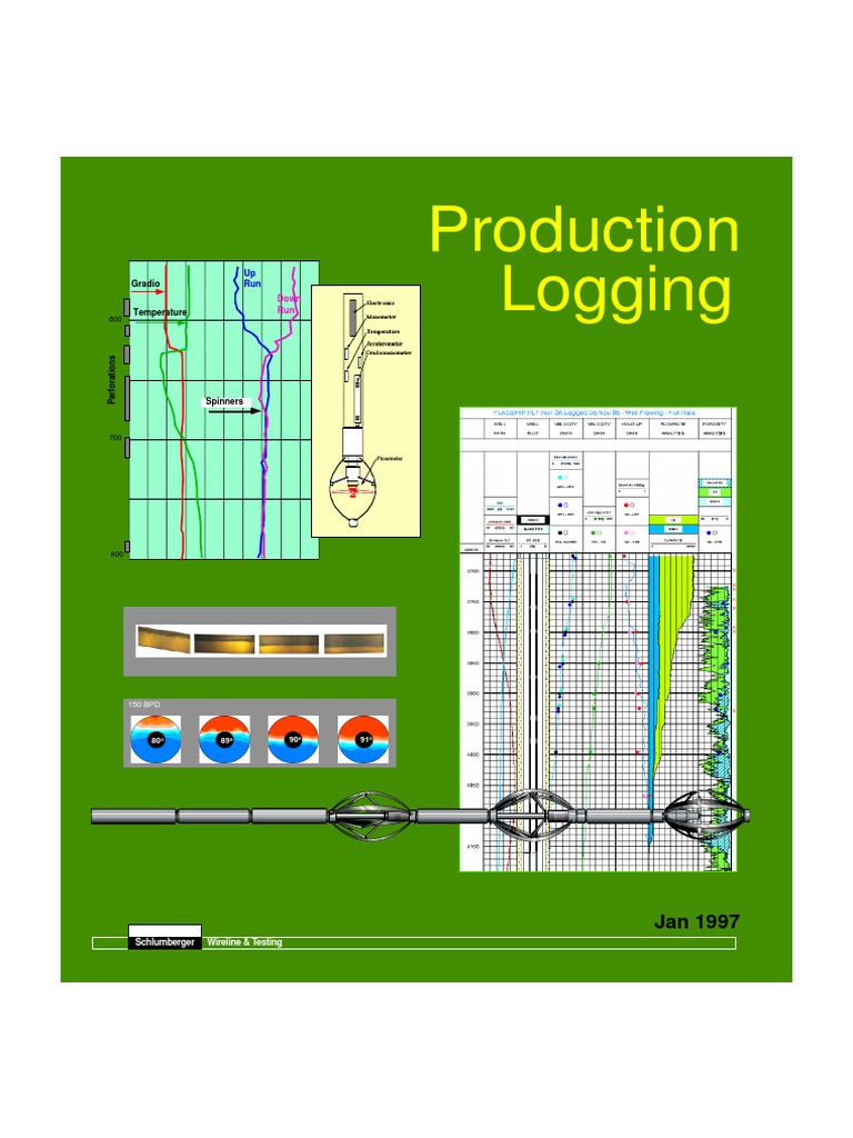Manual de PLT Neil | Download Free PDF | Petroleum Reservoir | Fluid ...