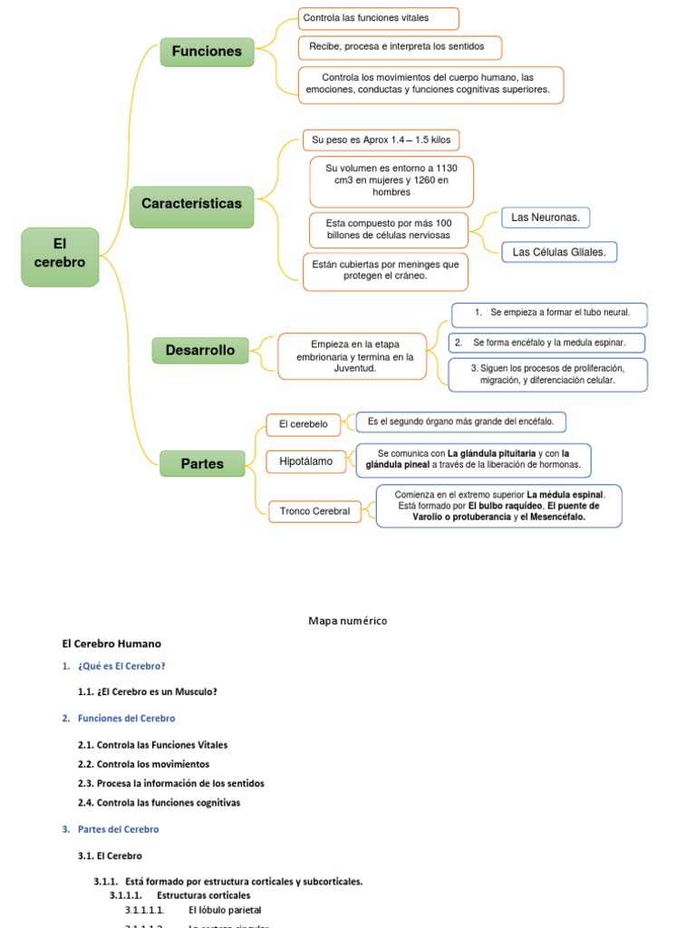 Esquema Lineal y Mapa Numerico | PDF | Ciencia y matemáticas ...
