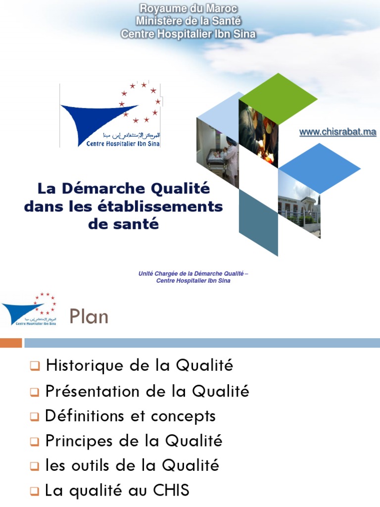 Démarche Qualité dans les Établissements de Santé | PDF | Management de ...
