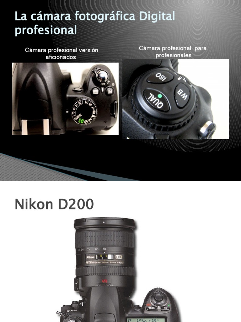 La Anatomia de La Camara | PDF