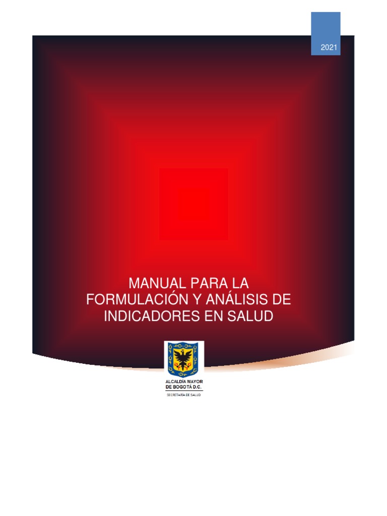 Formulacion Analisis Indicadores Salud | PDF