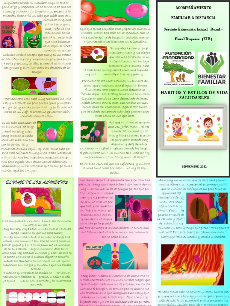 Viaje de Los Alimentos | PDF