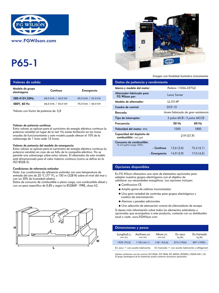 FGWilson P65-1 | PDF
