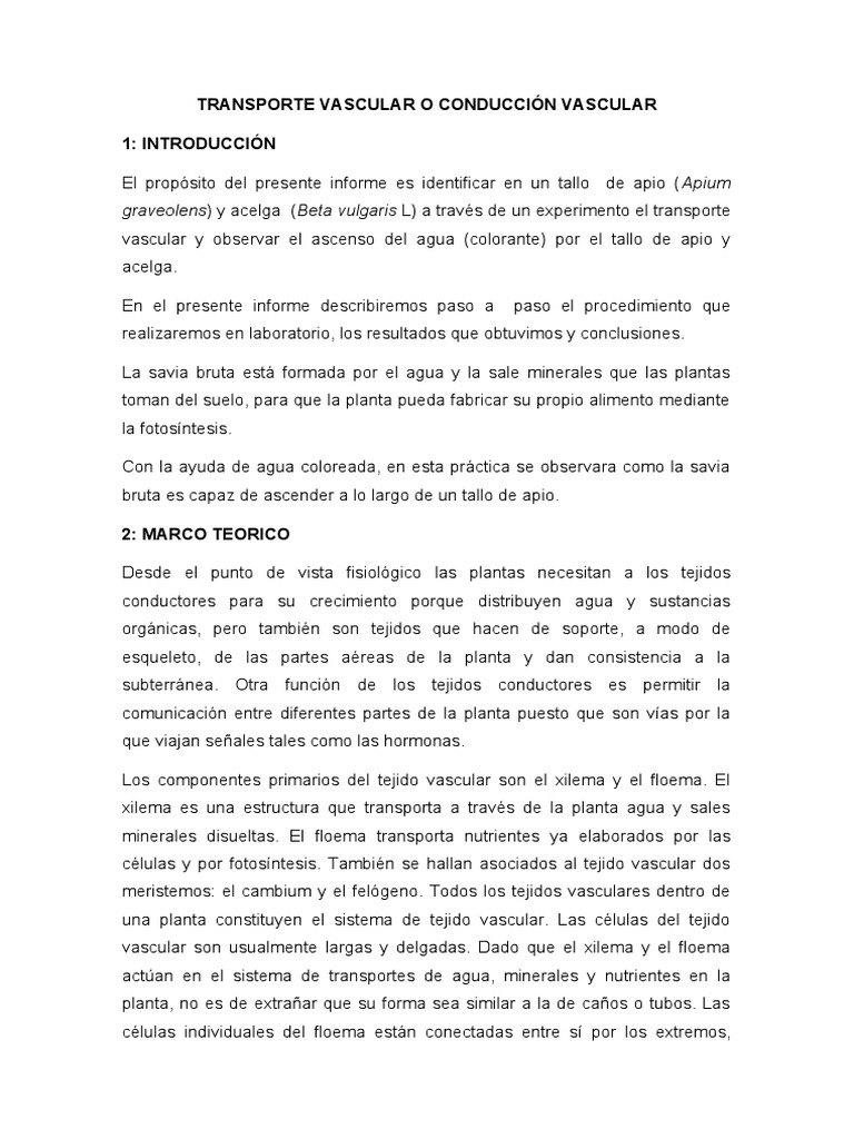 Conclusiones del experimento del apio | PDF | Histología | Morfología Vegetal