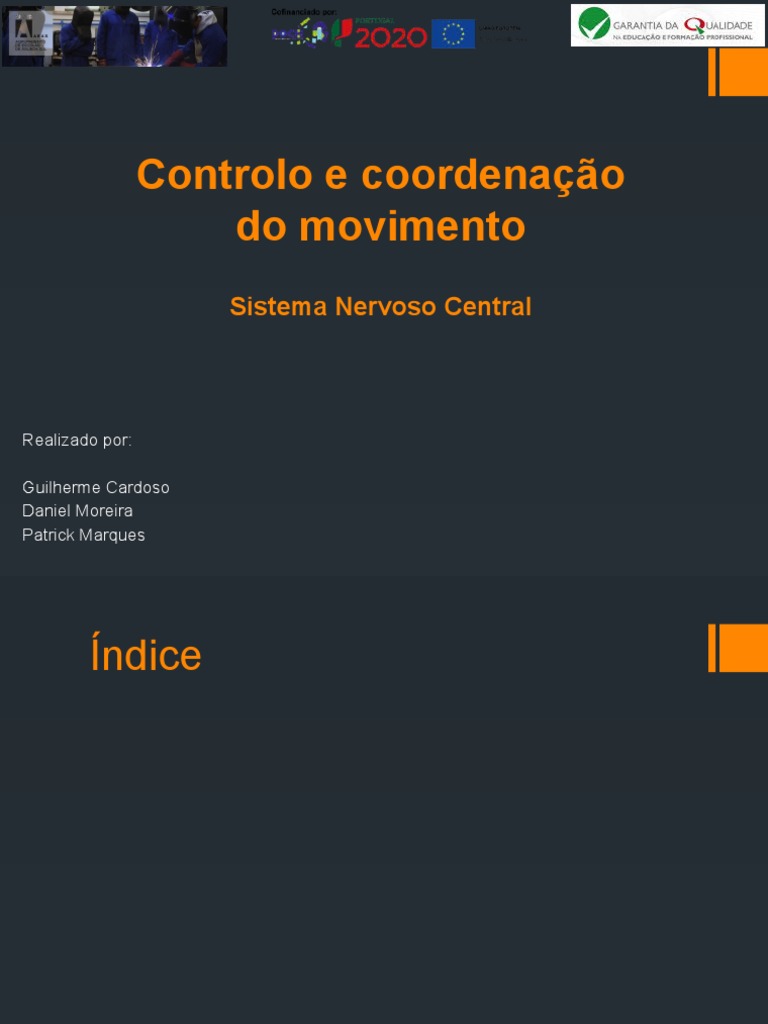 Controlo e Coordenação Do Movimento | PDF