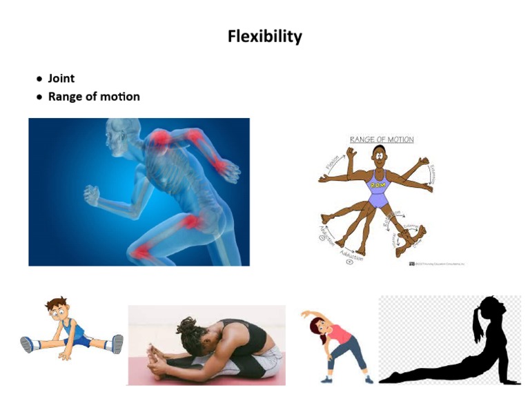 Flexibility | PDF