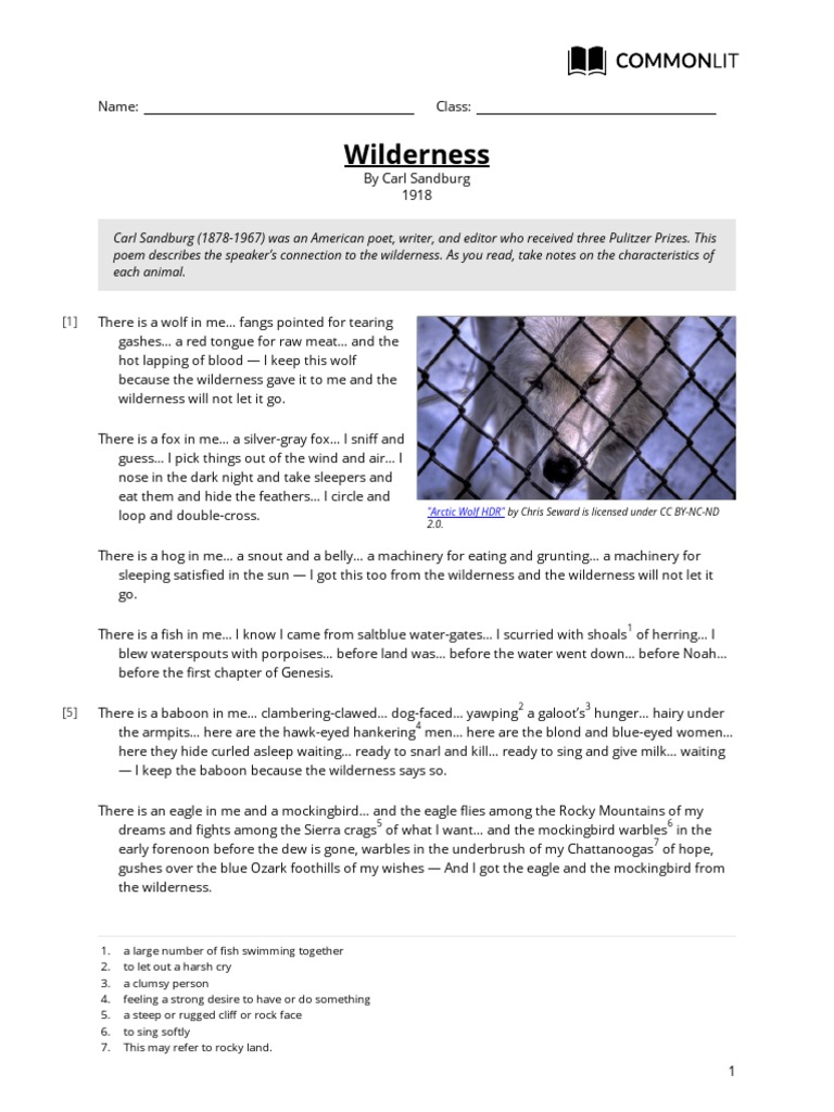 Sandburg - Wilderness | PDF