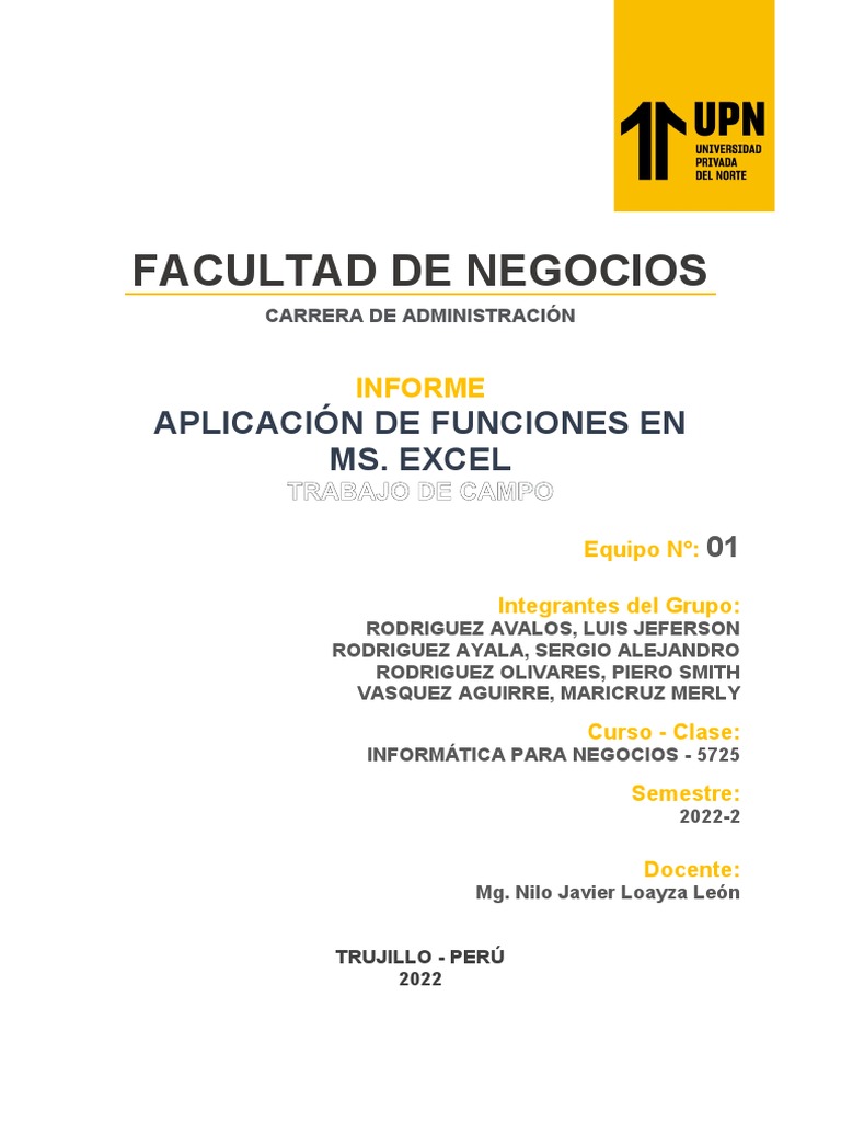 Avance 4 - Aplicacion de Funciones en Ms Excel - Equipo N 01 | PDF | Bases de datos | Funciones ...