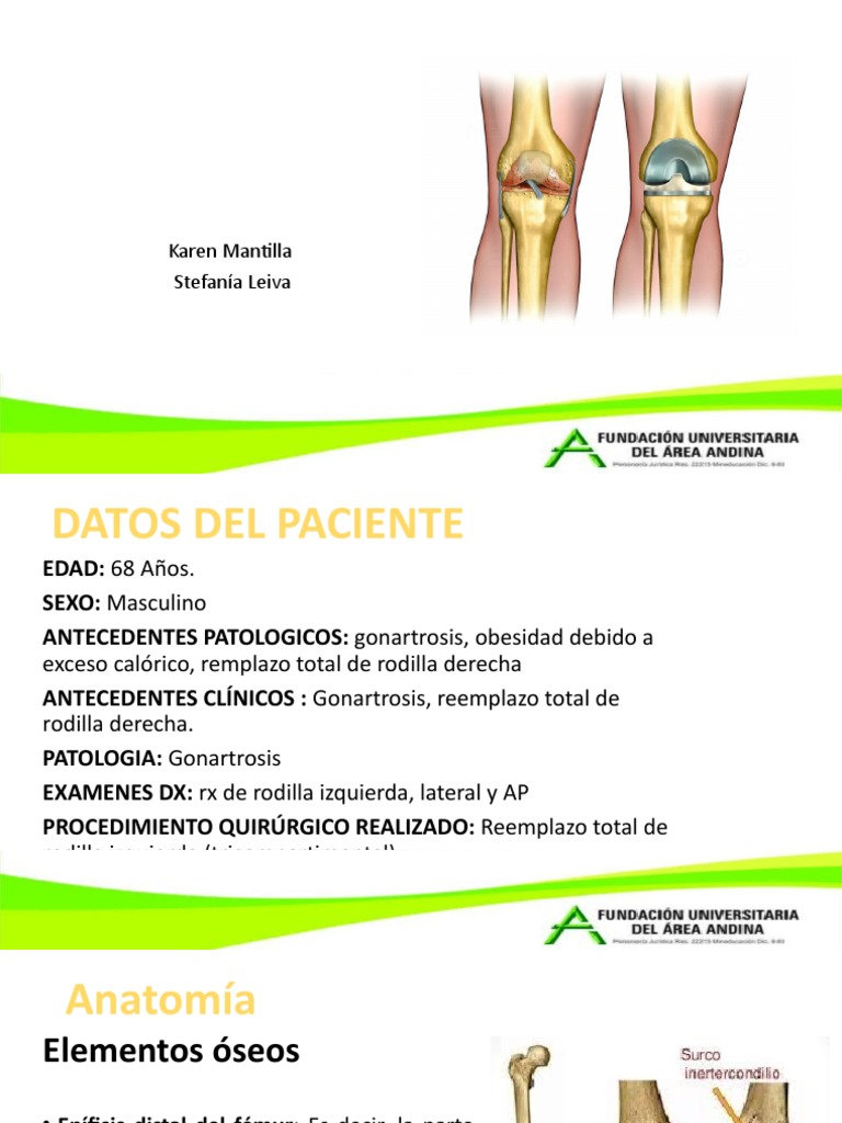 RODILLA | PDF | Rodilla | Anatomía humana