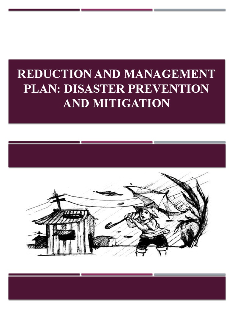 Reduction and Management Plan | PDF