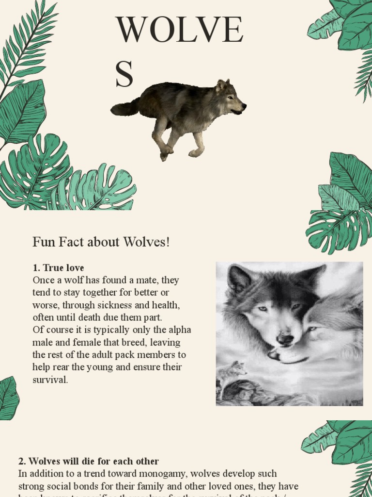 Wolves | PDF