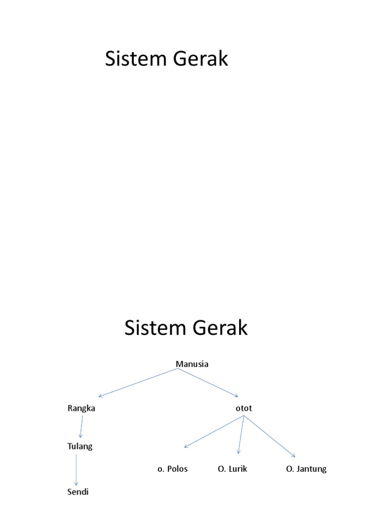 Sistem Gerak | PDF