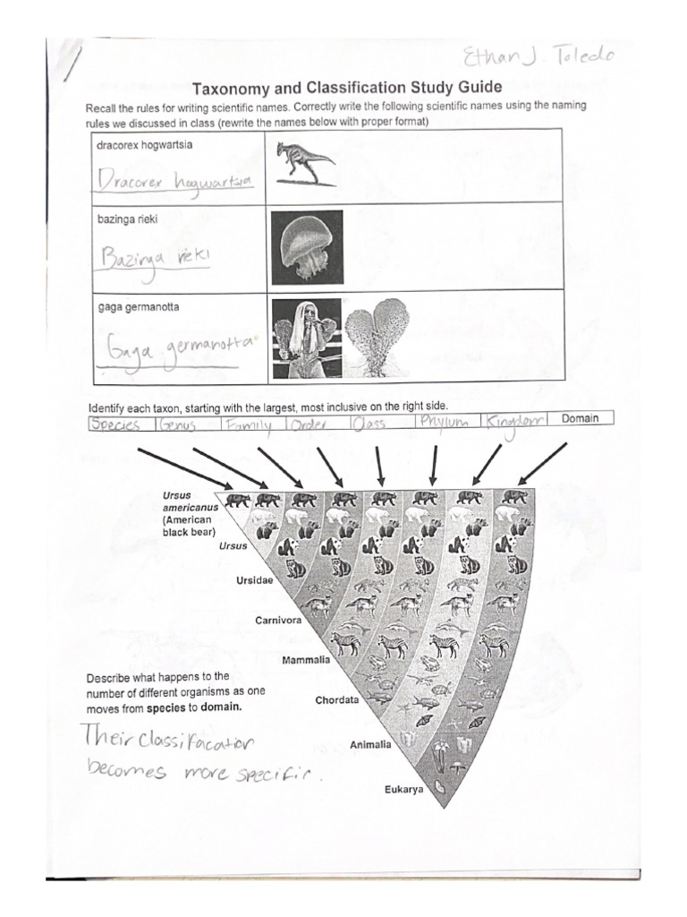 Taxonomy and Classification Study Guide | PDF