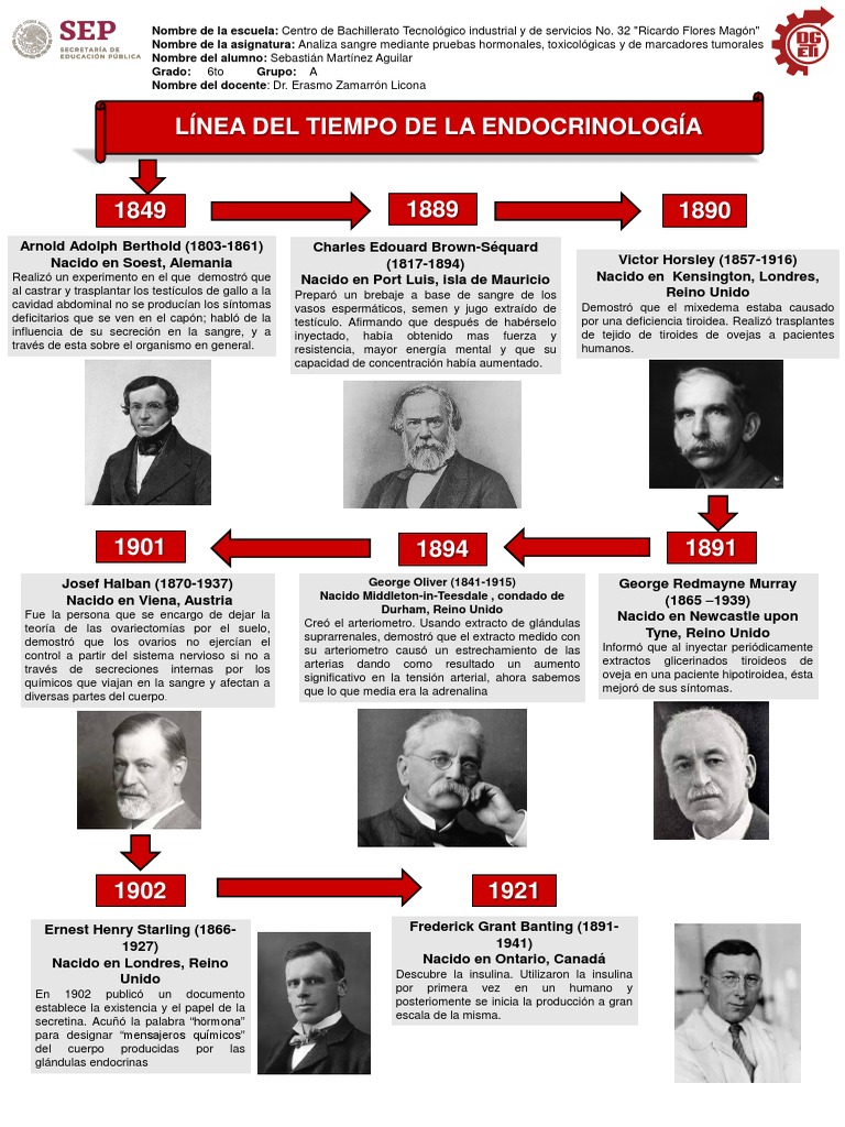 Línea de Tiempo de Endocrinología | PDF | Hormona | Insulina