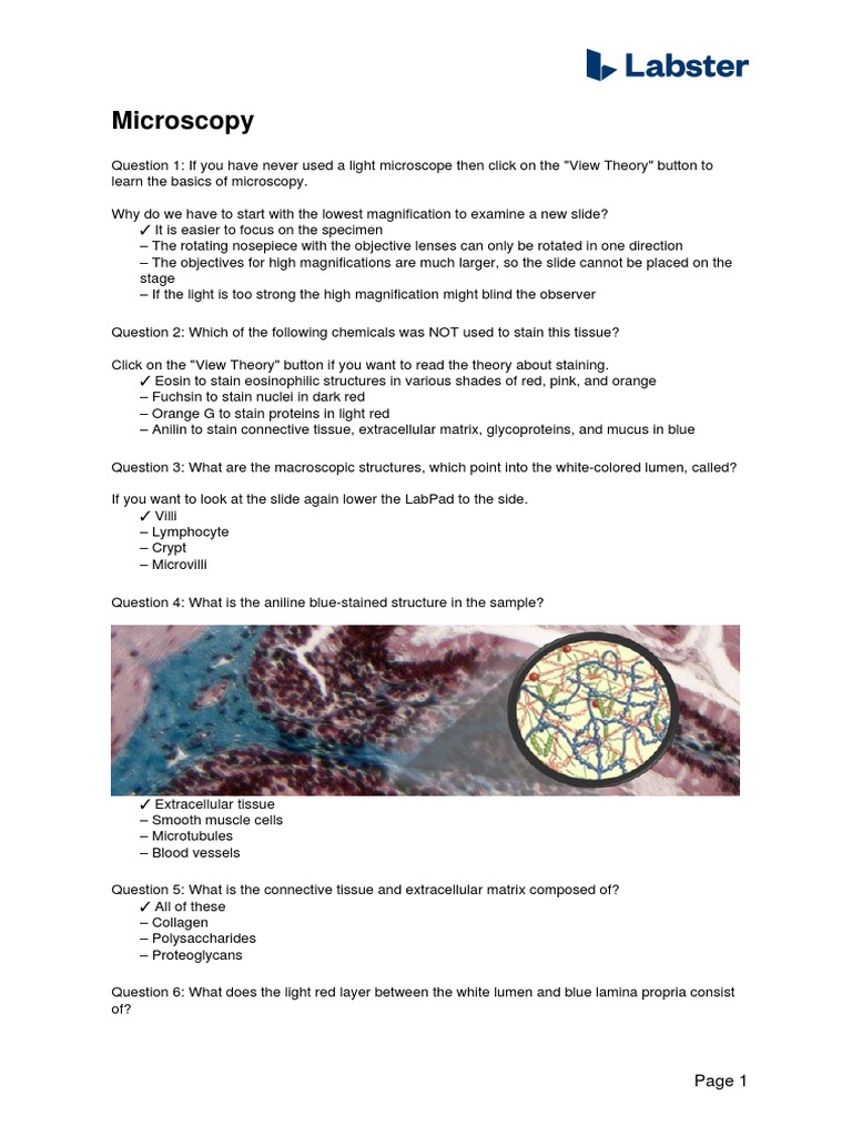 2questions Micros | PDF