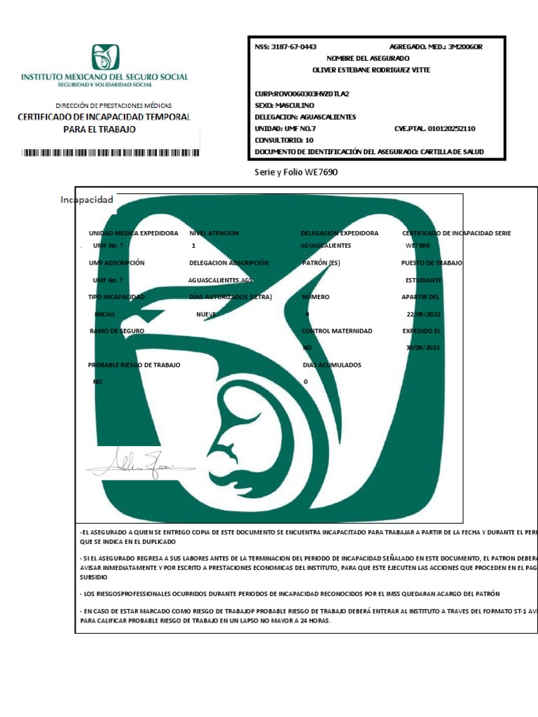 Formato Incapacidad Imms | PDF