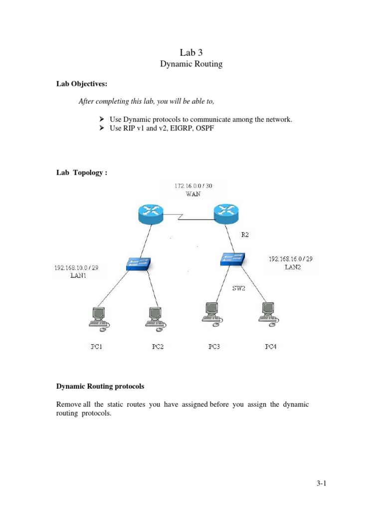Lab3 - Dynamic Routing | PDF