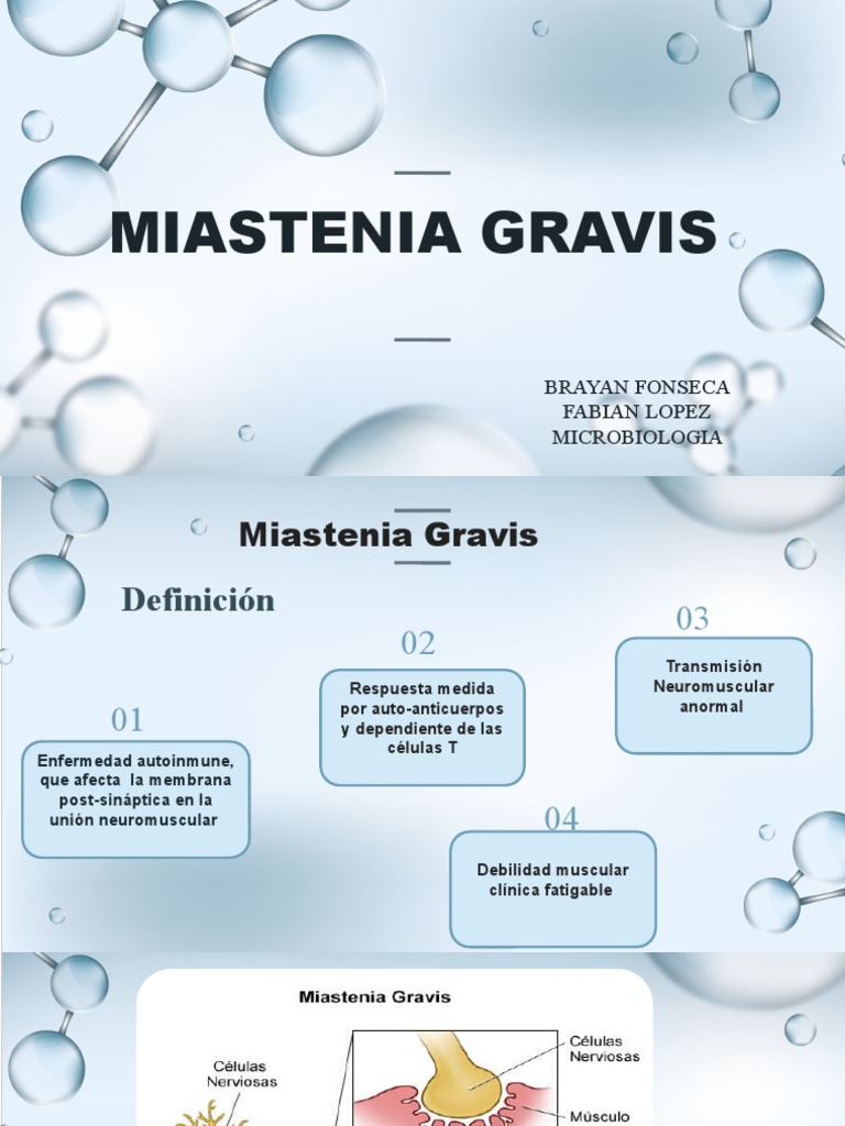Miastenia Gravis | PDF | Medicina CLINICA | Enfermedades y trastornos