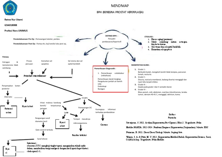 Mindmap BPH | PDF