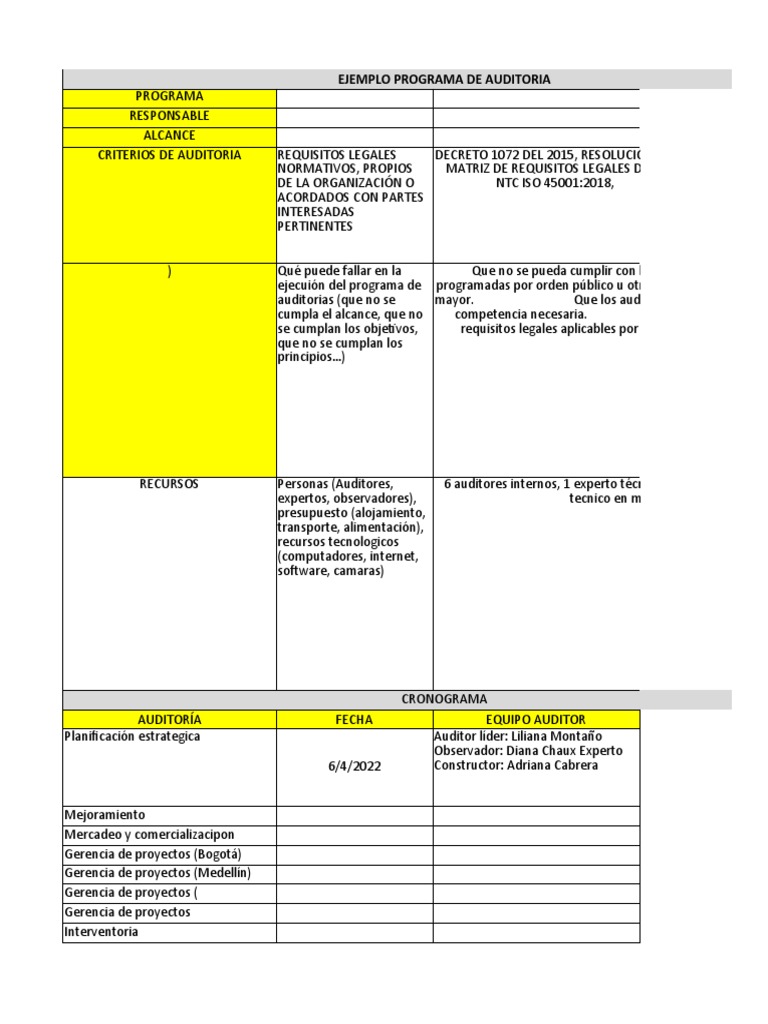 Ejemplo Programa SGSST | PDF | Auditoría | Business