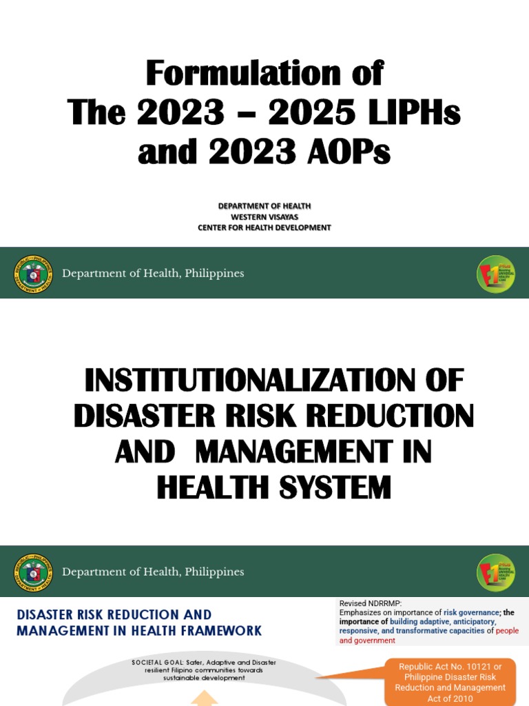 DRRM-H Institutionalization - For Iloilo | PDF
