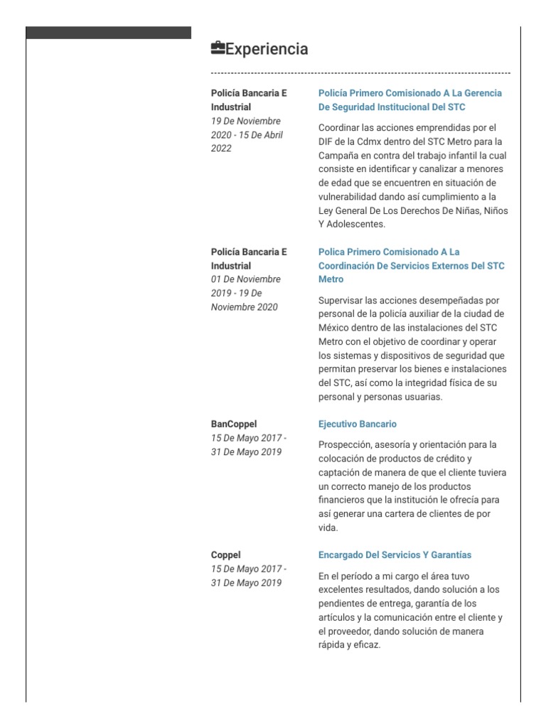 Curriculum Vitae Álvaro Baeza | PDF | Policía