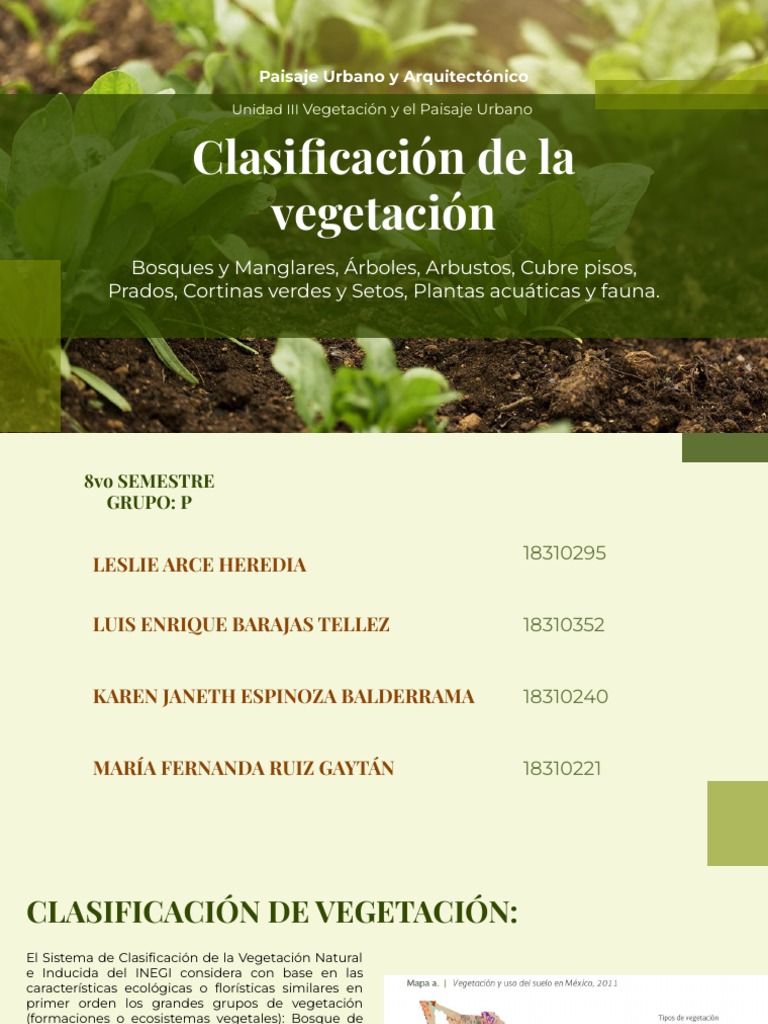 Clasificación de la Vegetación Natural | PDF | Mangle | Fauna