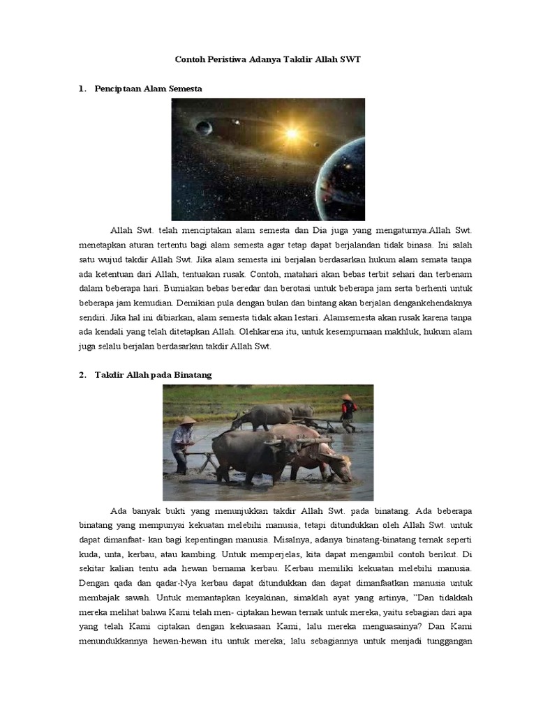 Contoh Peristiwa Adanya Takdir Allah SWT | PDF