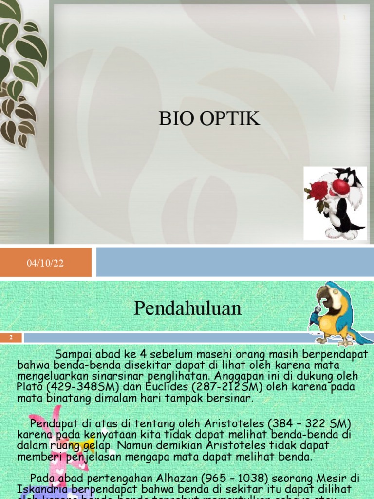 BIOOPTIKA | PDF
