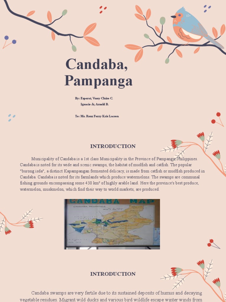 Bird Encyclopedia | PDF