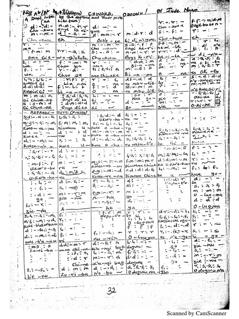 A Collection of Blank Pages Scanned by CamScanner | PDF