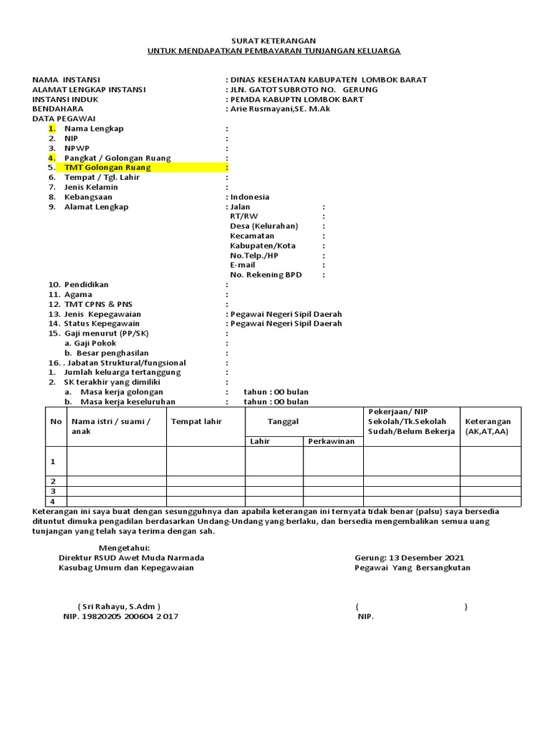 Model DK Rsudam Terbaru | PDF