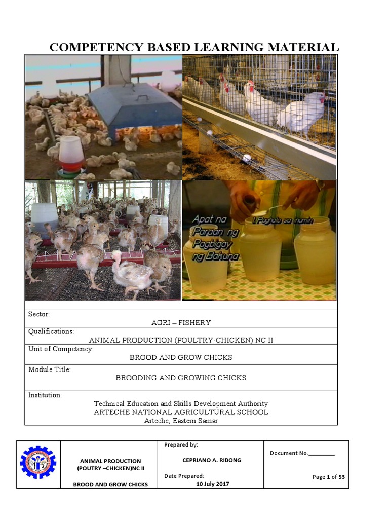 Brood And Grow Chicks Pdf Chicken Disinfectant