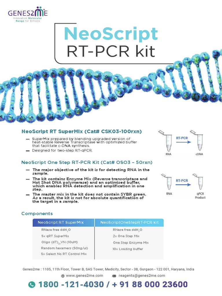 NeoScript RT-PCR Kit Updated | PDF