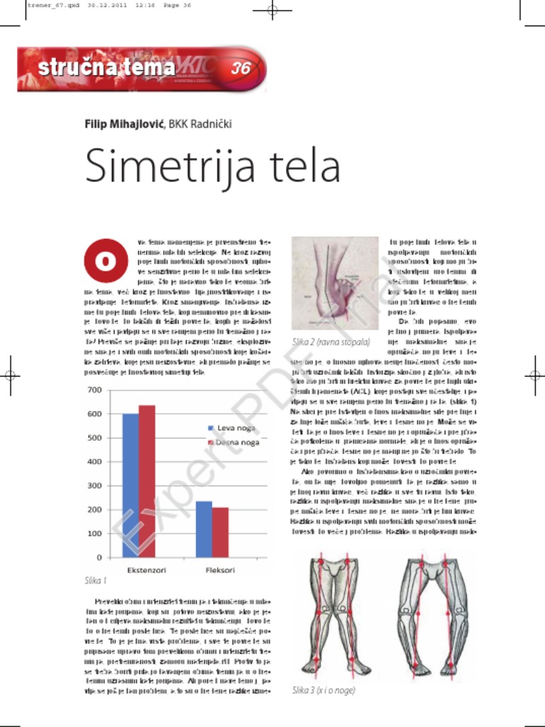 Filip Mihajlovic - Simetrija Tela | PDF