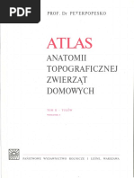 Anatomia Swini Atlas Interaktywny | PDF