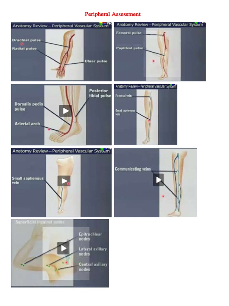 Peripheral Assessment | PDF | Edema | Vein