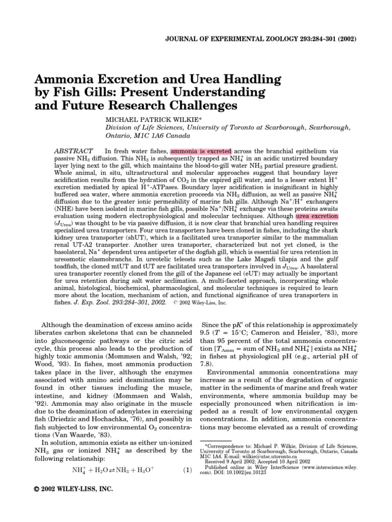 Ammonia Excretion and Urea Handling by Fish Gills | PDF | Cell Membrane ...