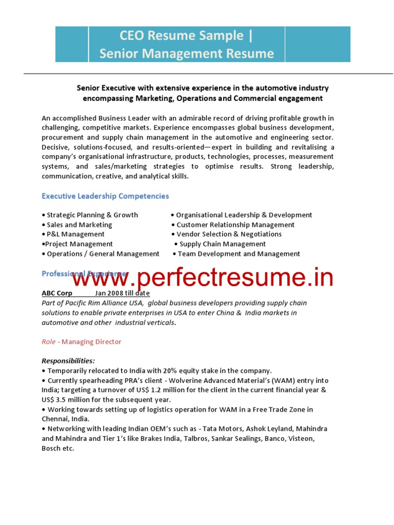CEO Resume Sample WWW - Perfectresume.in | PDF | Supply Chain | Chief ...