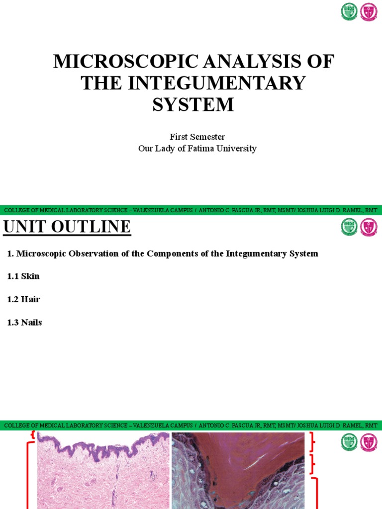 Microscopic Analysis of the Skin, Hair, and Nails: A Focus on the ...