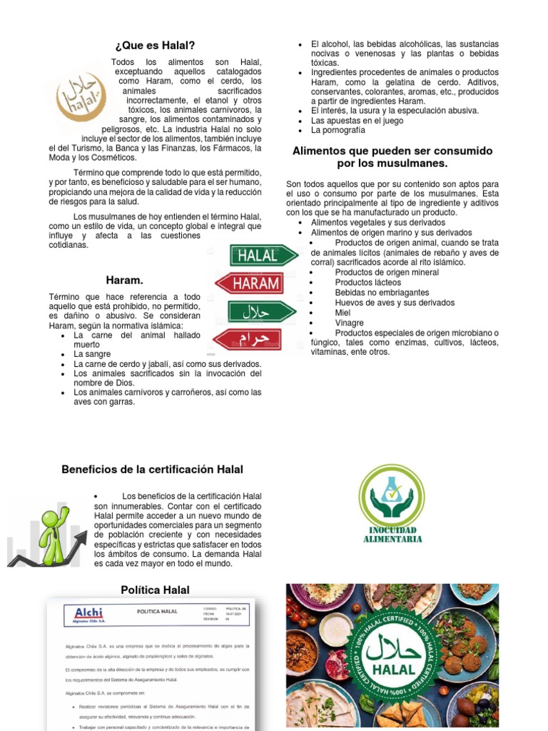 Halal PDF | PDF | Alimentos | Nutrición