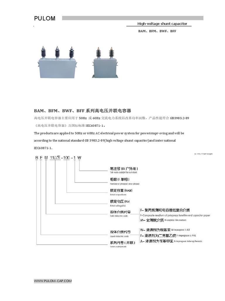 High-voltage shunt capacitor BAM 高压并联电容器 AC filter | PDF