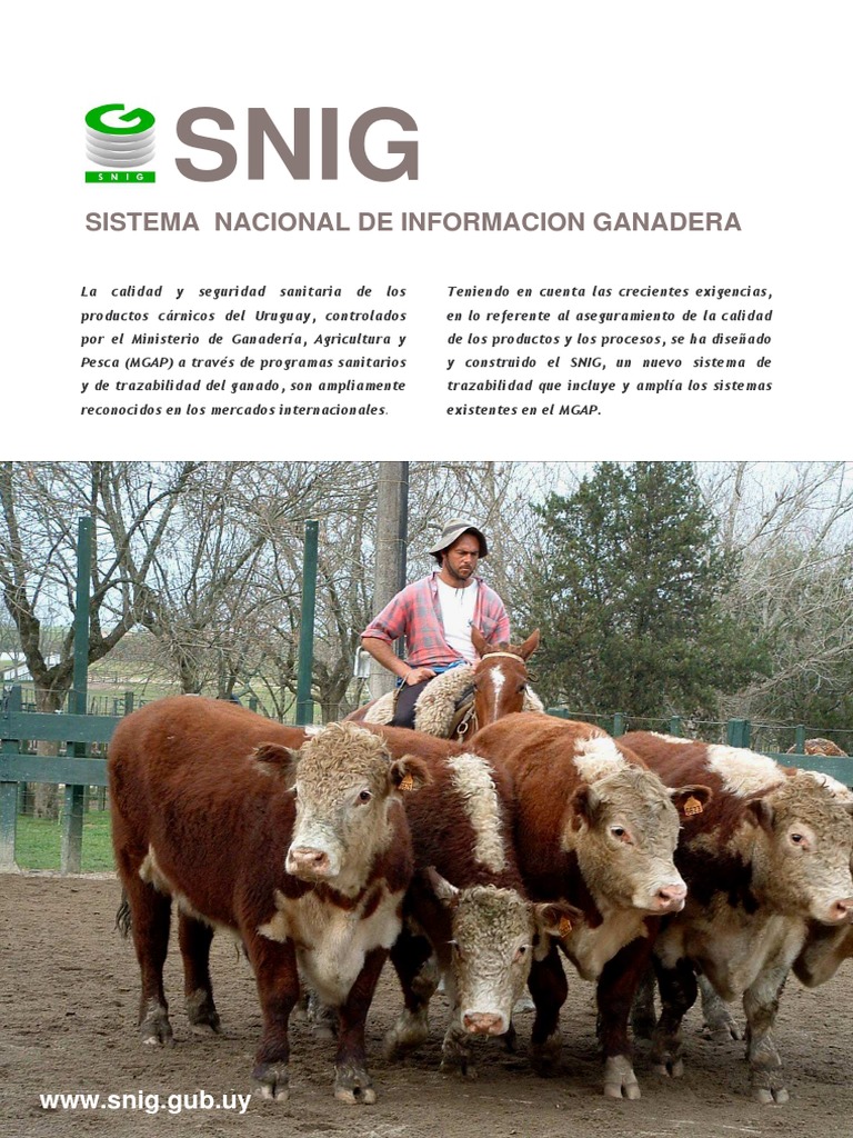 DD3 Informacion General SNIG | PDF