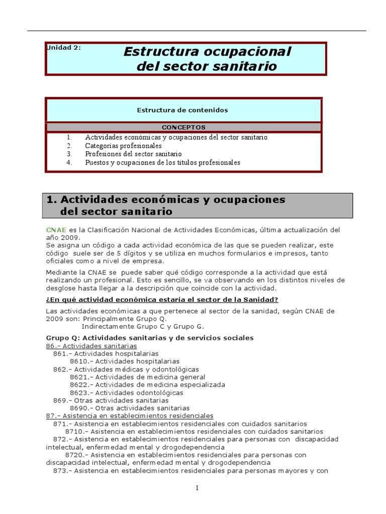 Tema 2. Estructura Ocupacional Del Sector Sanitario. Resumen | PDF | Enfermería | Higienista dental