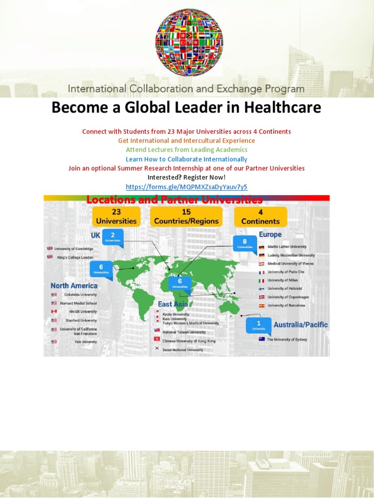 Flyer Informatiu ICE Program | PDF