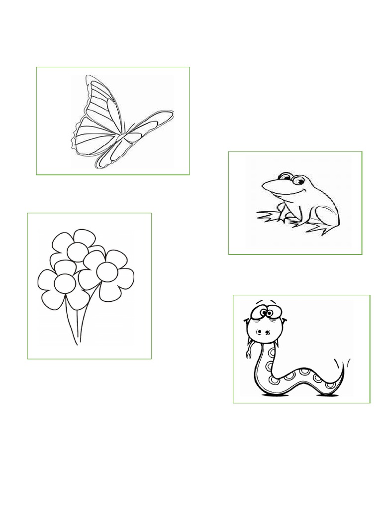 Tarea de Cadena Alimenticia | PDF